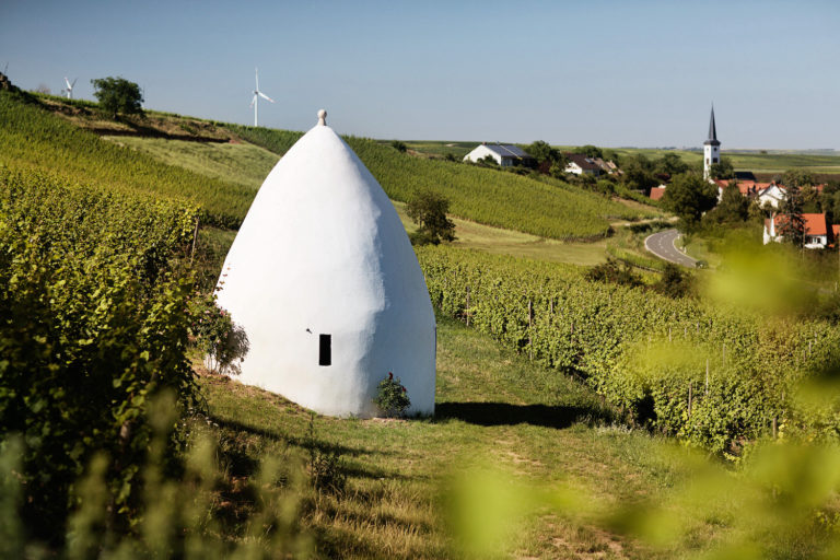Rheinhessen - Germany's largest wine-growing region | Trinkreif.de